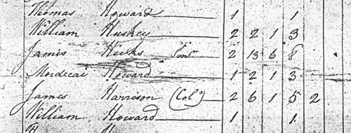 The Virginia Howards – Howard History