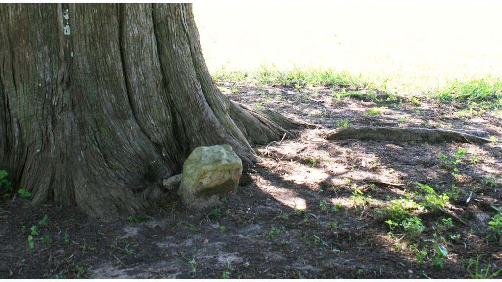 William Benjamin Howard – Howard History